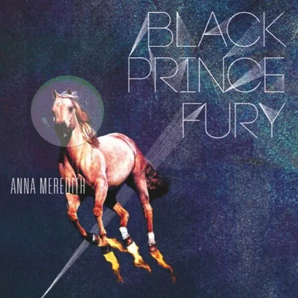 Anna Meredith - Black Prince Fury Black Vinyl - TikTok Shop