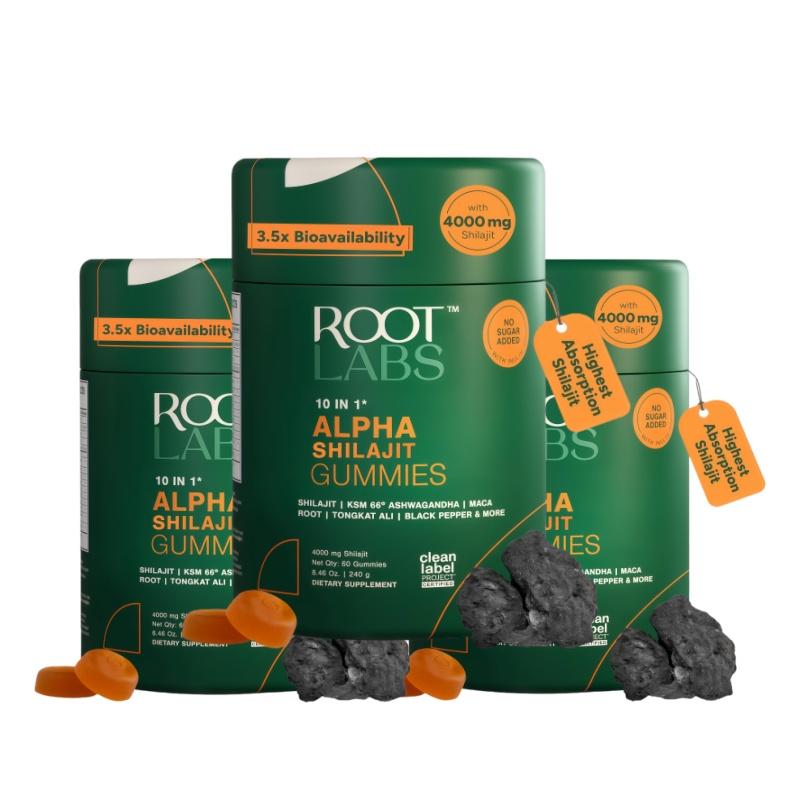 10-in-1 Shilaiit Gummies 4000 mg ZA Holiday Gift-Ready Energy Stamina ...