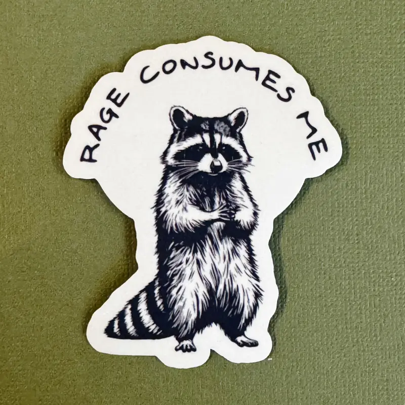 racoon decal - TikTok Shop
