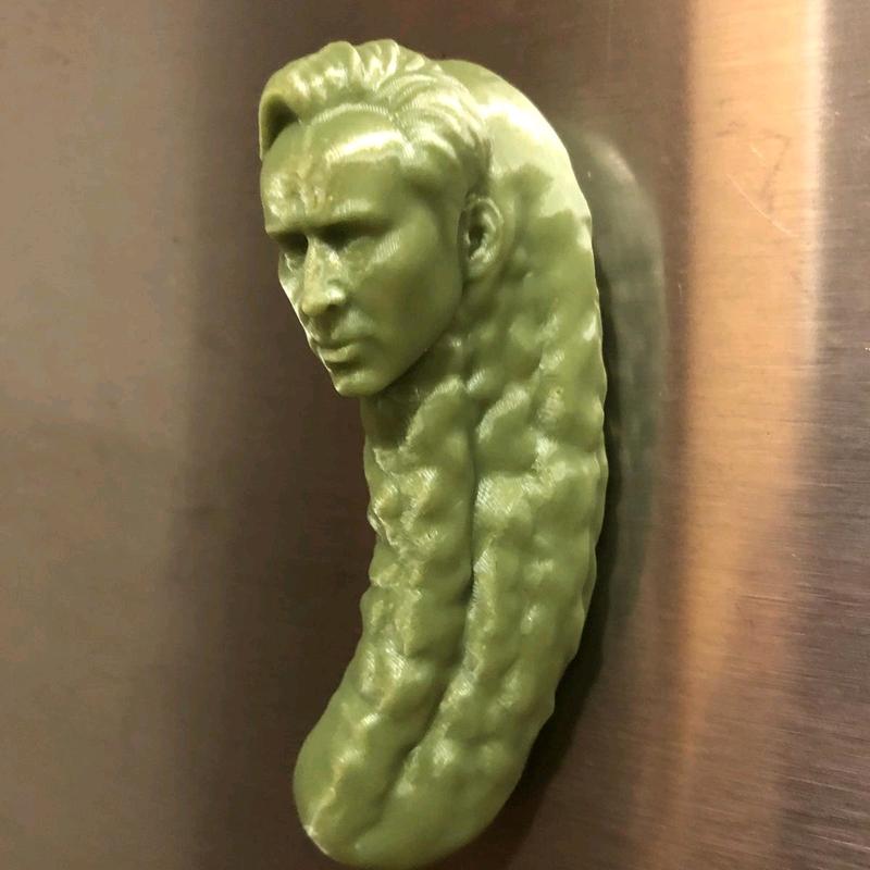 Picolas Cage Fridge Magnet, 3D Nicolas Cage Funny... - TikTok Shop