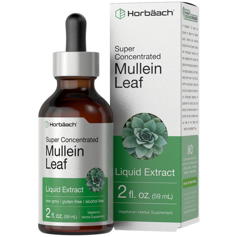 Horbäach Mullein Leaf Extract Drops | 2 fl oz | Alcohol Free Liquid ...