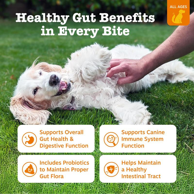 Probiotics for dogs, 120 chewable tablets, chicken flavored, improves ...