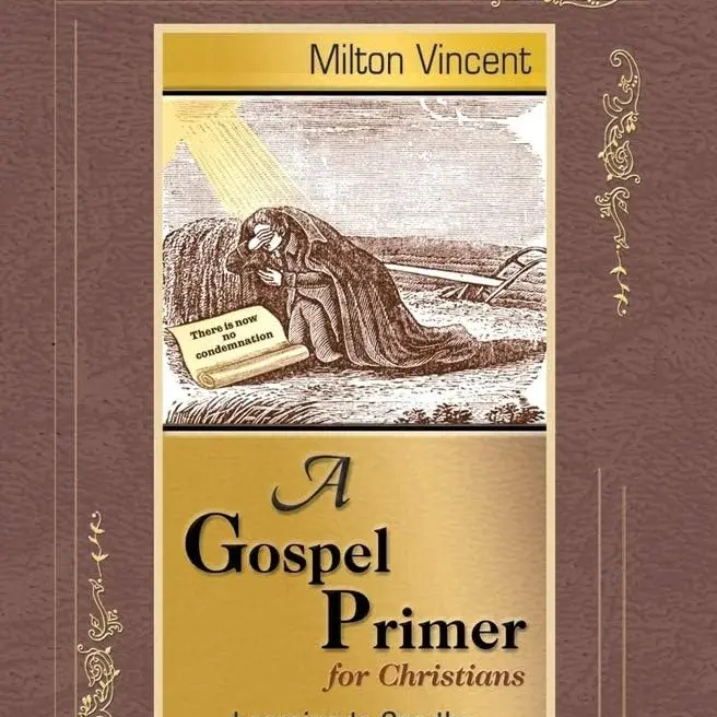A Gospel Primer for Christians : Learning to See the Glories of God's ...