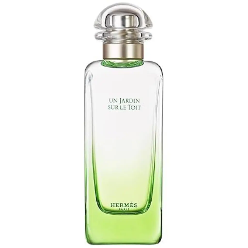 Hermes Un Jardin Sur Le Toit EDT 100ml - Parisian Rooftop Garden ...