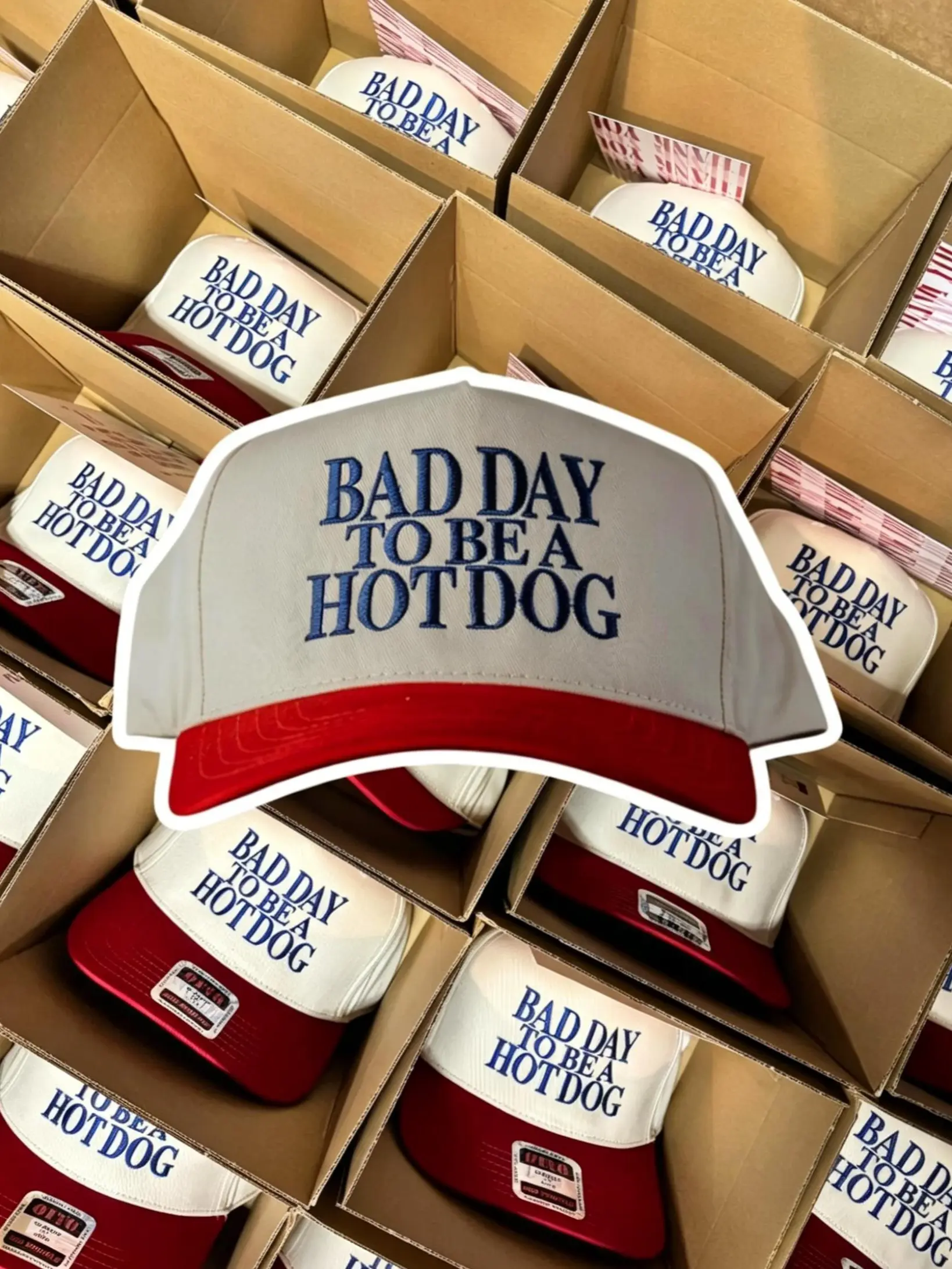 “Bad Day to Be a Hot Dog” Trucker Hat Vintage Embroidered Baseball Cap ...