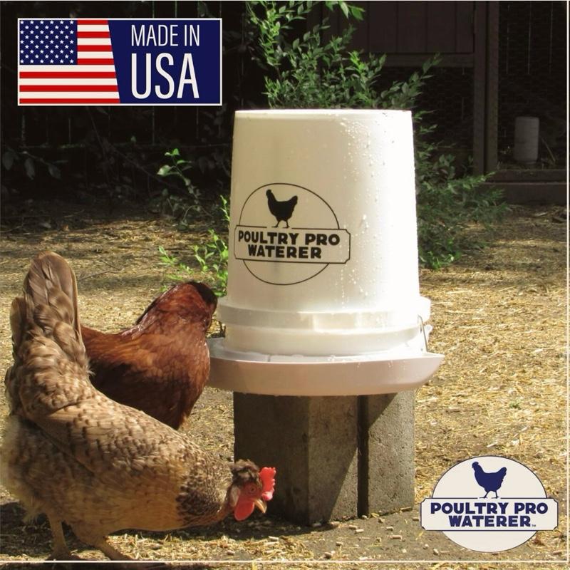 Poultry Pro Waterer - TikTok Shop | Holiday Sales TikTok Shop