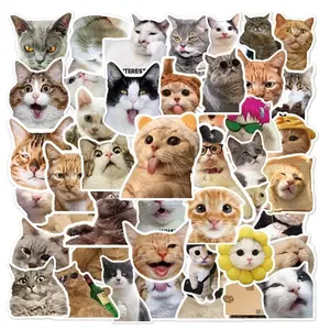 Random Sticker - Funny Cat Meme Sticker Pack For Pets Lover. Vinyl ...