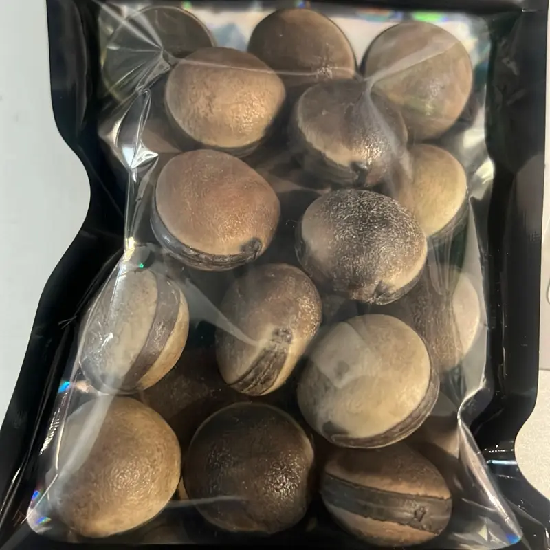 Ojo de Venado Deer's Eye 3 oz Pack Small Natural Seed 20 Seeds ...