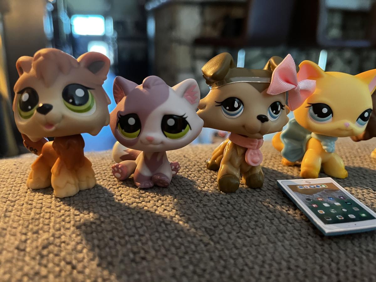 5 pc random miniature cat and dog figures and random 7 pc accessories ...