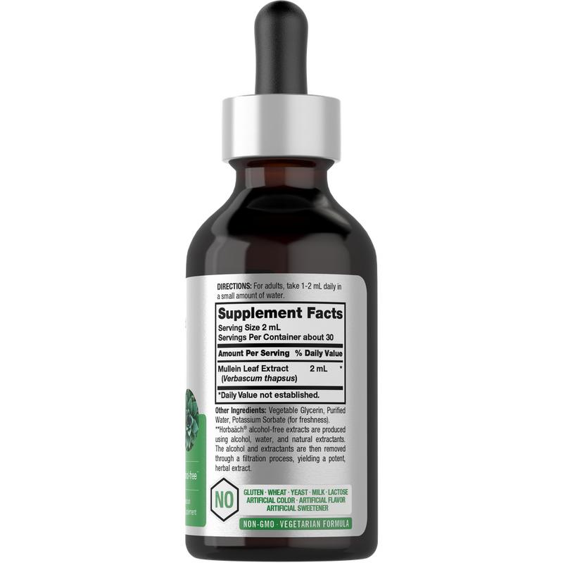 Horbäach Mullein Leaf Extract Drops | 2 fl oz | Alcohol Free Liquid ...