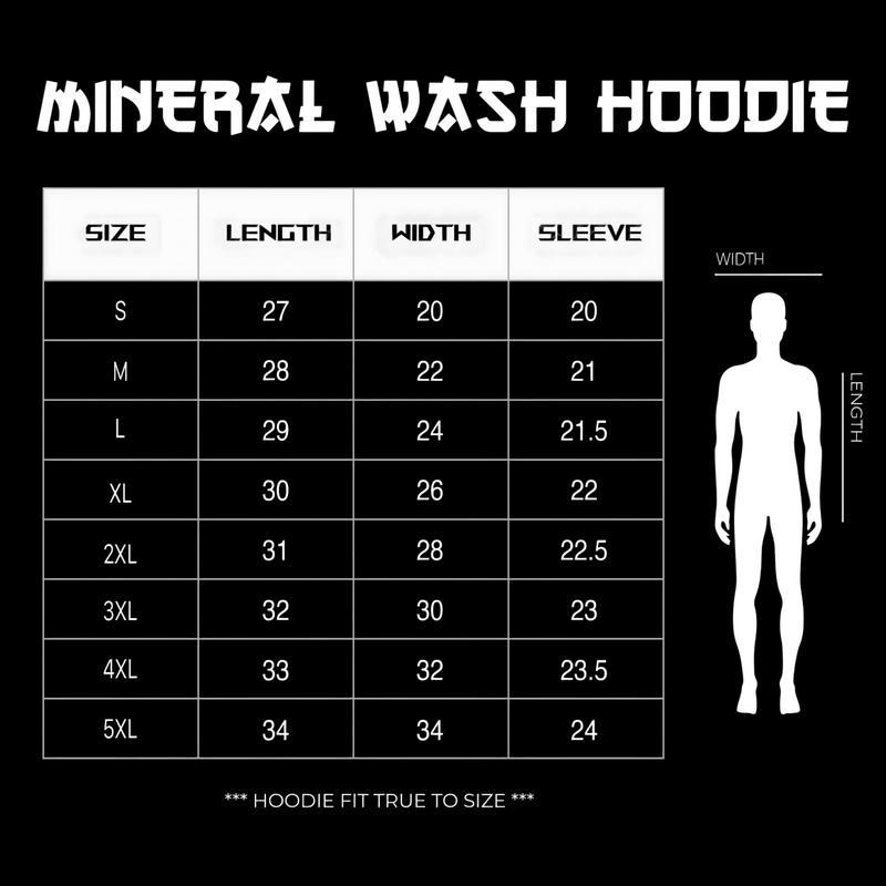 Drakeee’s “Iceman” Tour 2025 Vintage Washed Hoodie – Oversized Heavy ...