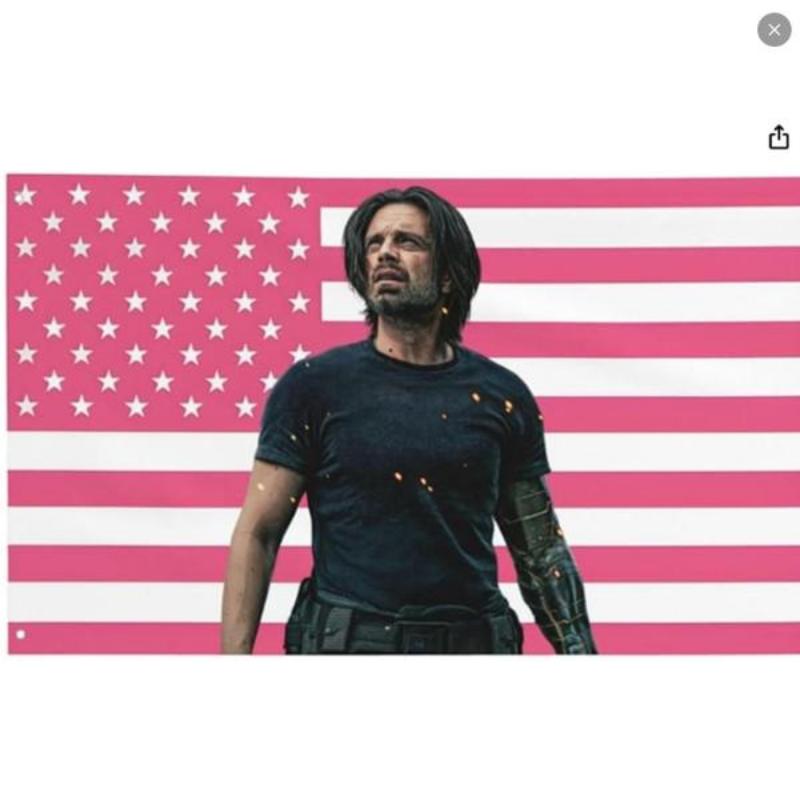 Sebastian Stan Flag Bucky Barnes Pink America Flag 3x5 FT I Love USA ...