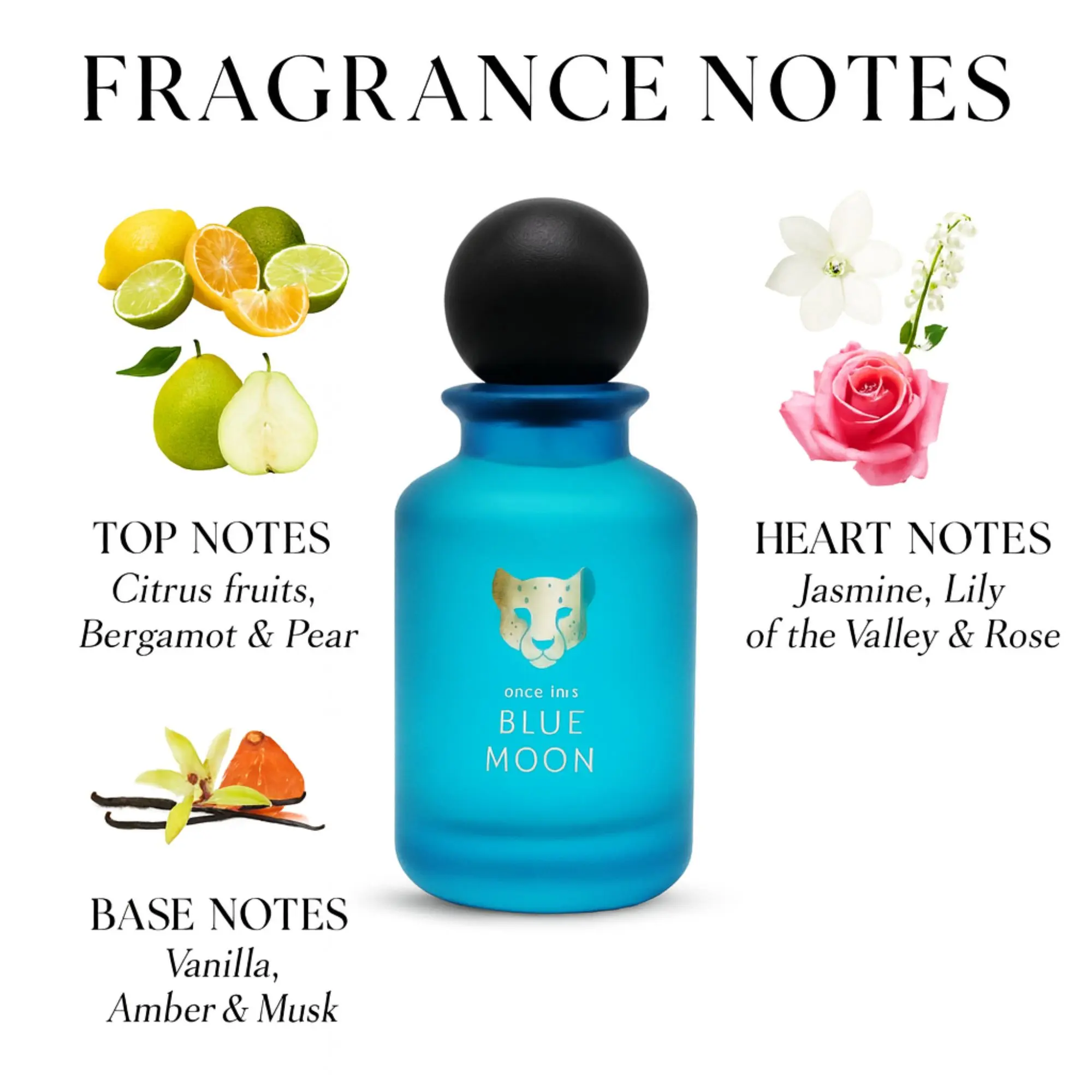 Once In A Blue Moon by Surrati - 100 ml Perfume for Men and Women ...