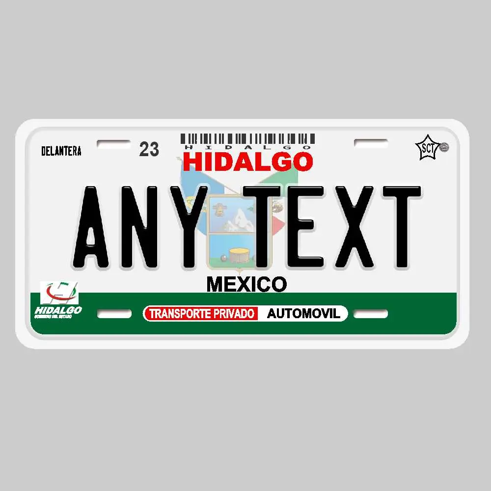 Hidalgo License Plates Placas de Hidalgo México personalizada - TikTok Shop