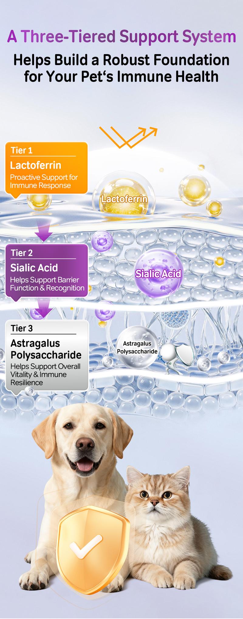 X100BEST Liquid Lactoferrin Soft for Dogs & Cats - 90 Count with Sialic ...