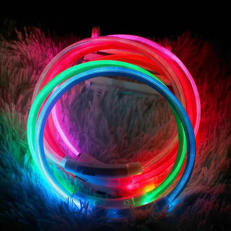 Rechargeable LED Light Up Pet Collar, 1 Count Glow in the Dark Dog ...