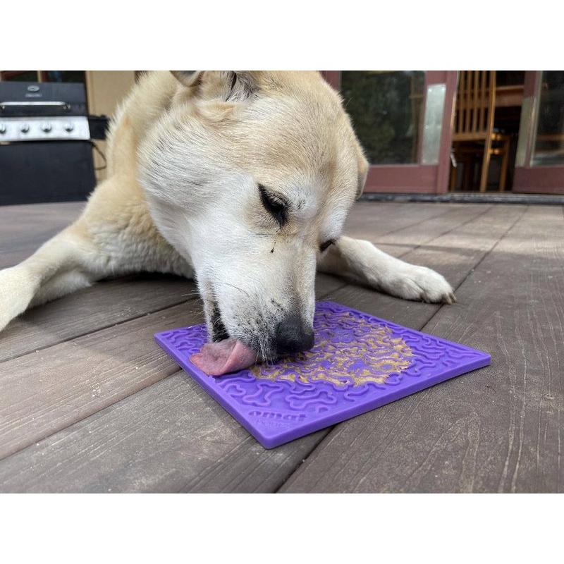 Bones Design eMat Enrichment Lick Mat for Dogs and Cats - TikTok Shop