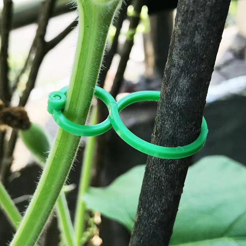 Multifunctional Plant Vine Fixing Clip, 200pcs/set Garden Climbing ...