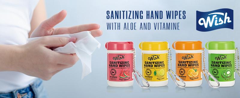 Compact Sanitizing Hand Wipes Canister Set - 4-Pack (80 Total Wipes ...