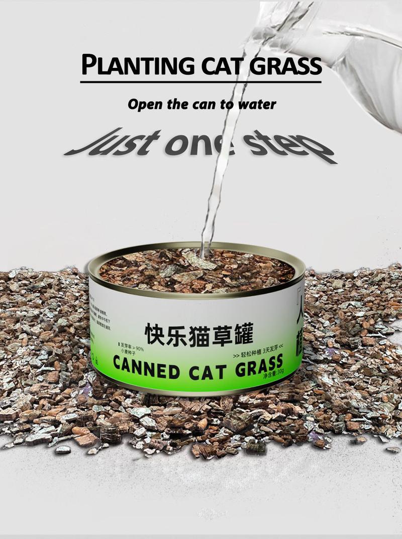 Organic Cat Grass Seeds Pack Non-GMO Heirloom Cat Grass Seeds for ...