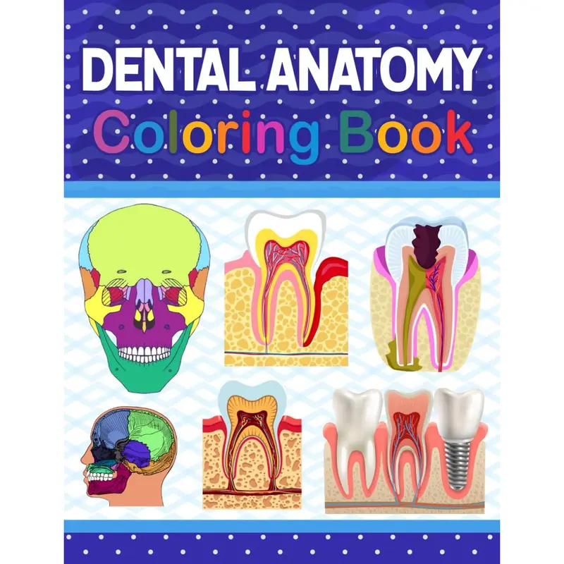 anatomy and physiology coloring workbook answers chapter 6 - TikTok Shop