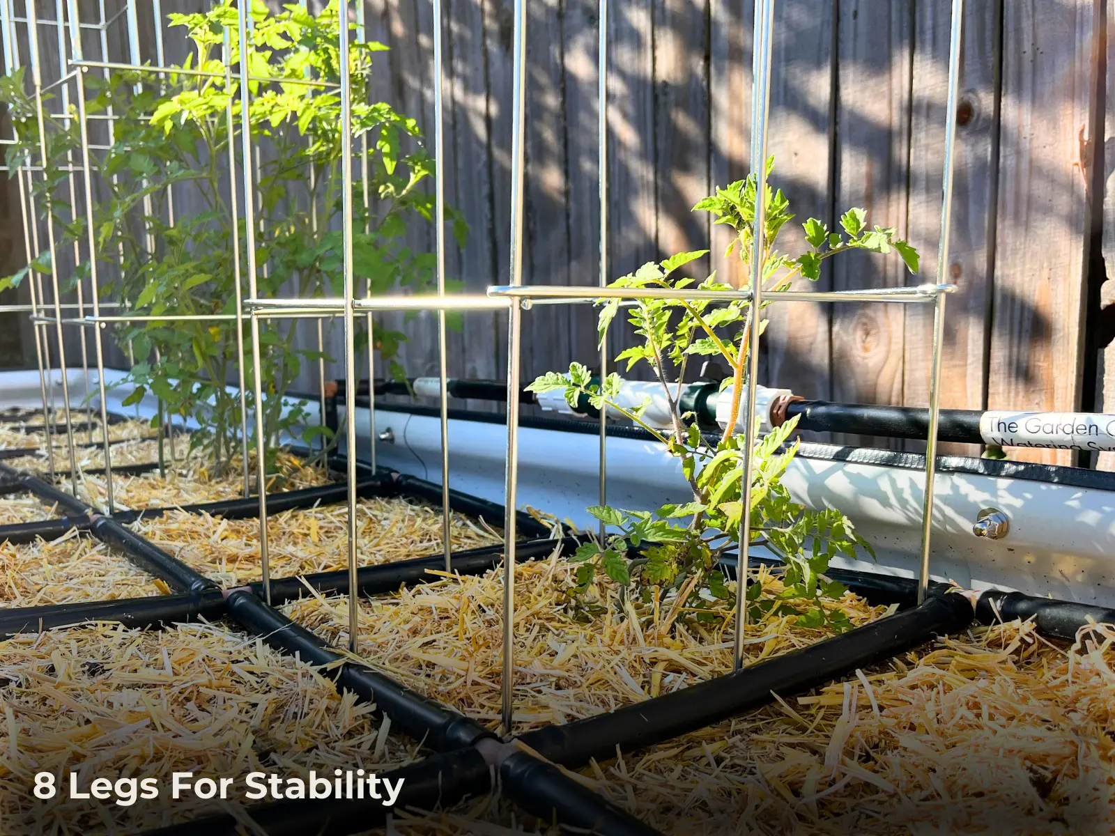 GIM™ Tomato Cage (4-Pack) - TikTok Shop