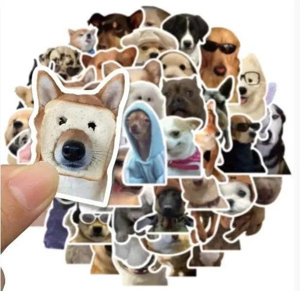 Cute RANDOM 5 STICKER Set – Funny Cartoon & Animal Characters for ...