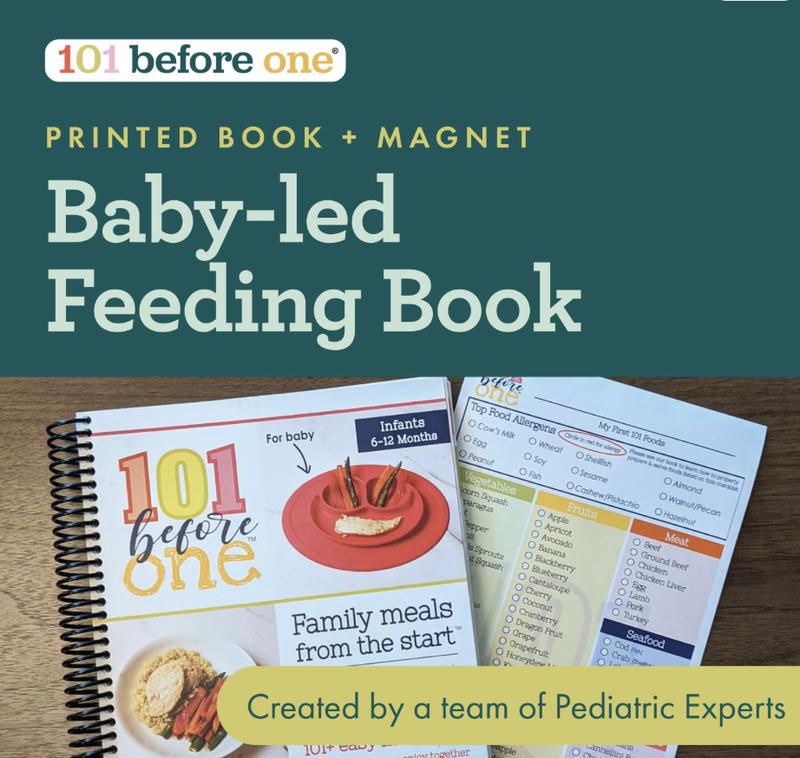 101 before one Printed Book + 101 Foods Checklist Magnet - TikTok Shop