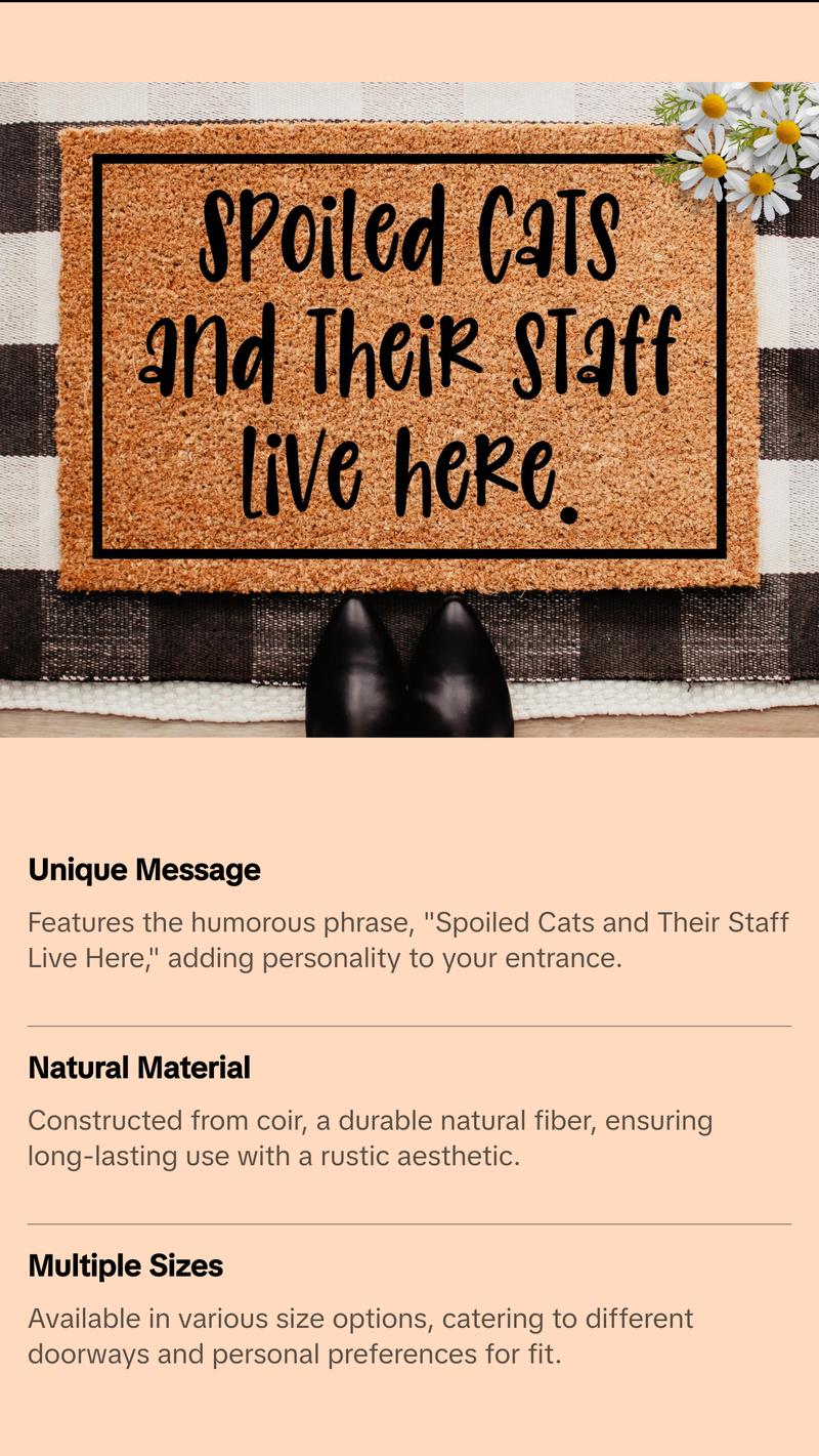 Funny Cat Doormat, Funny Door Mat, Welcome Mat, Cat Lover Gift ...