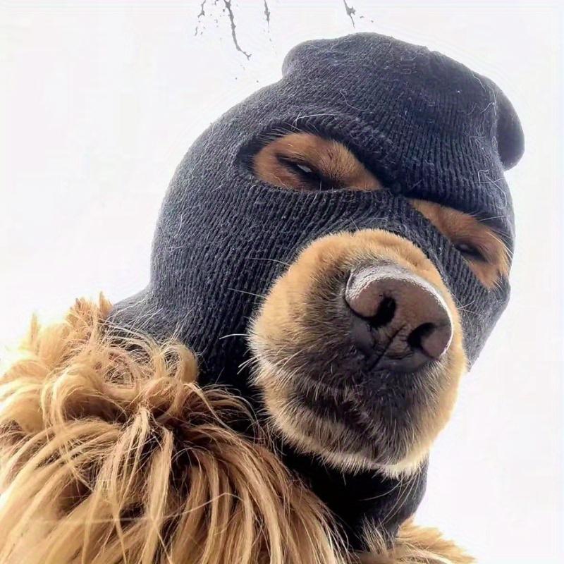 Funny Dog Balaclava - Cute Pet Mask for Photoshoots, Soft & Comfortable ...