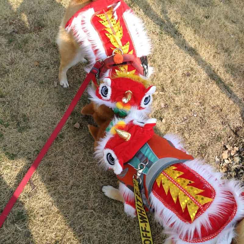 Pet Lion Dance Costume, Funny New Year for Dogs, Cat Tang Suit, Festive ...
