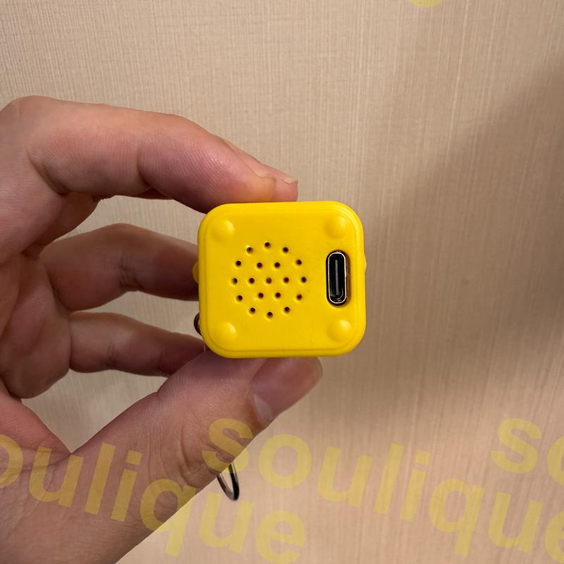 Coquí frog button Keychain with Realistic Sound & Light Puerto Rico ...