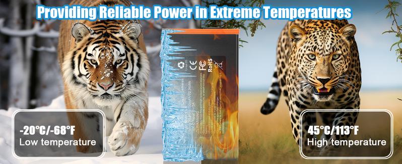 2 Packs Rechargeable Battery Pack for Moultrie EDGE Series 6700mAh 10 ...