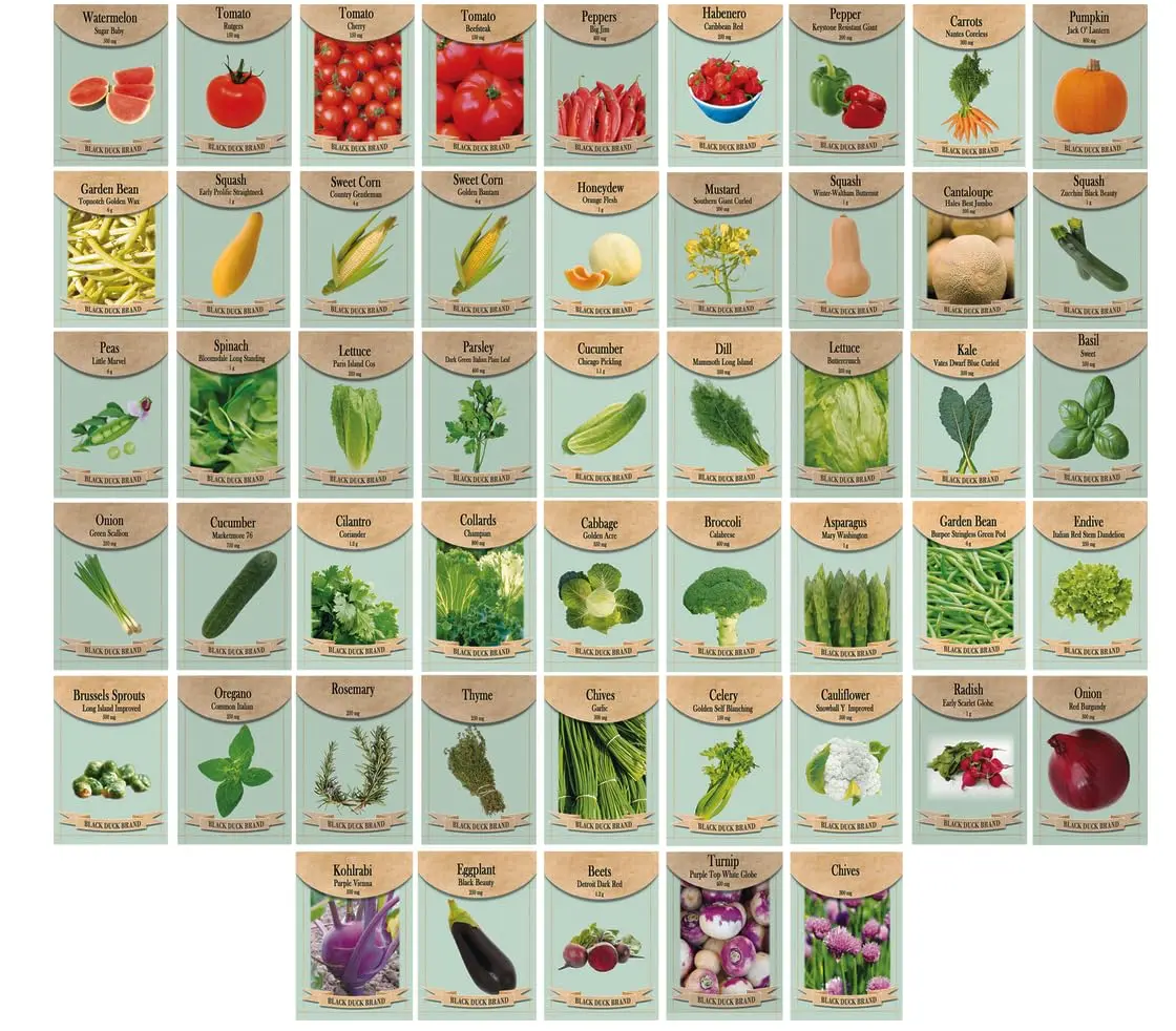50 Packs Assorted Heirloom Vegetable Seeds 20+ Varieties All Seeds are ...