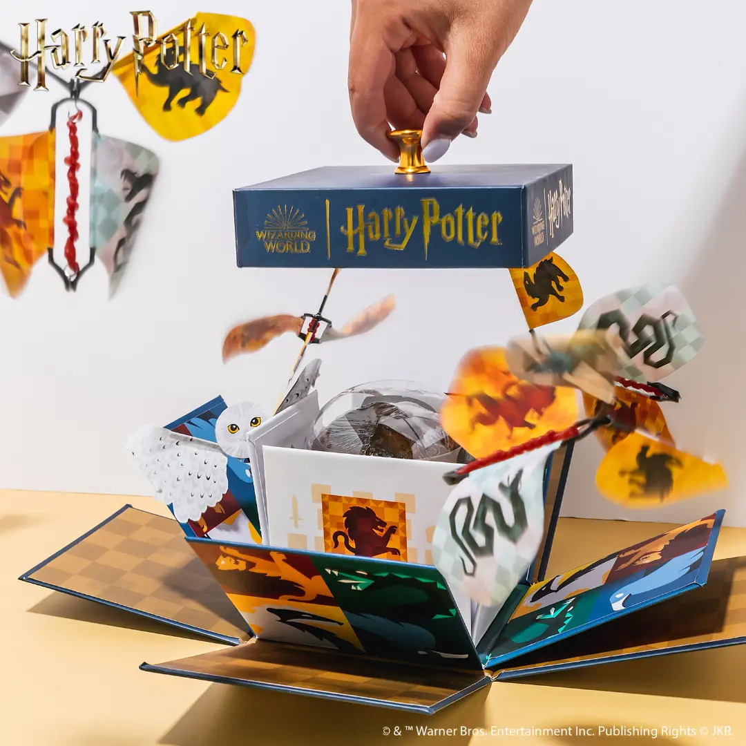 Harry Potter Hogwarts Explosion Gift Box - Officially Licensed [Send A ...