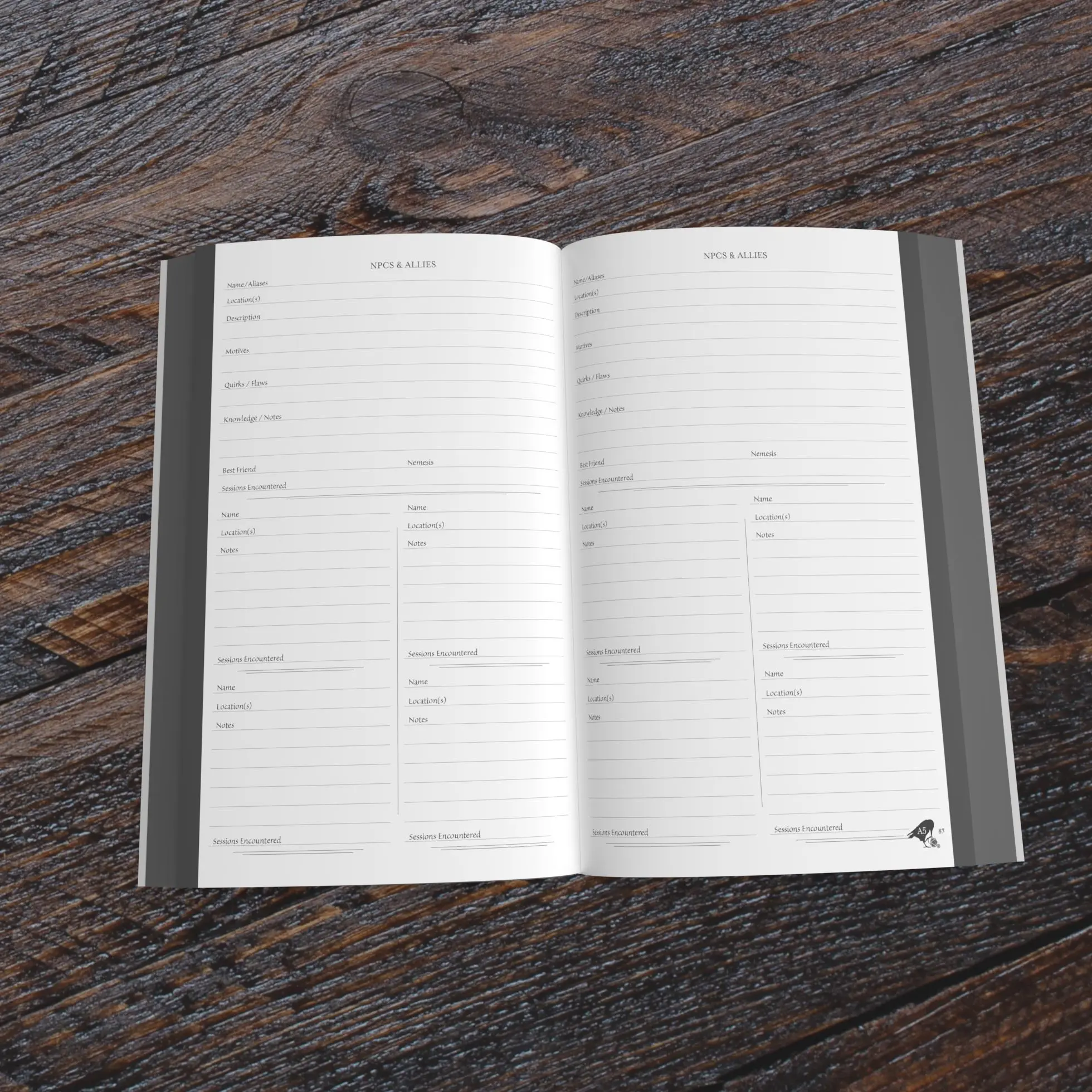 Rook & Raven Player's Diary for Dungeons & Dragons - Mischief and ...