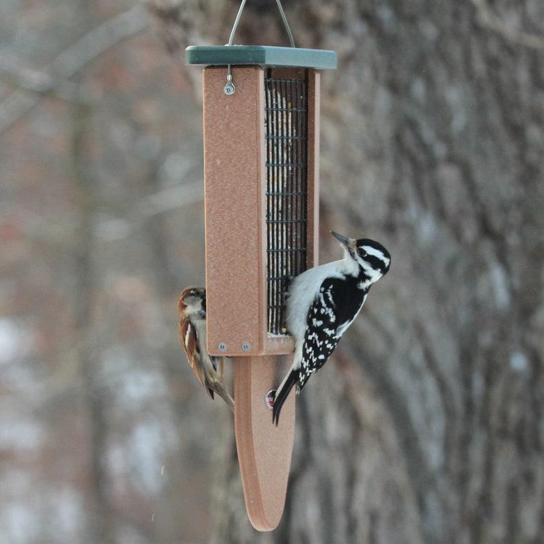 Kettle Moraine Recycled Suet Feeders with Tail Prop (Double) - TikTok Shop