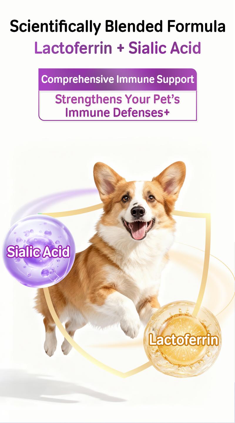 X100BEST Liquid Lactoferrin Soft for Dogs & Cats - 90 Count with Sialic ...
