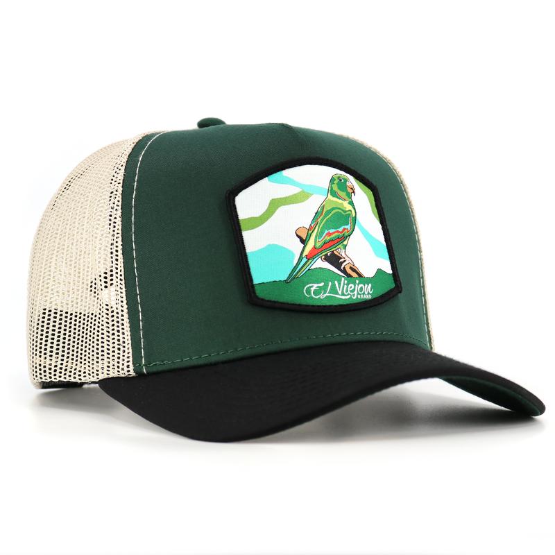 Perico Black/Green/Tan AVC hat / gorra - TikTok Shop