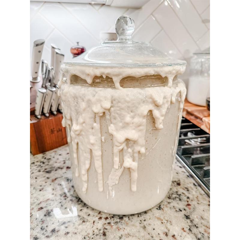 Eve - The Southern Sourdough Co. Dehydrated Sourdough Starter | 10 ...