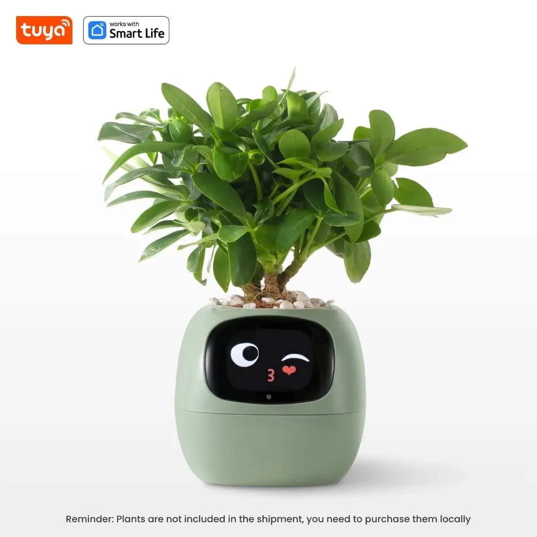 Elegant Tuya Ivy Smart Planter - TikTok Shop