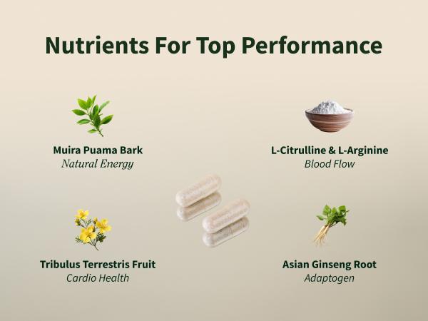 Snap Supplements - Nitric Oxide Booster - Support Healthy Blood ...