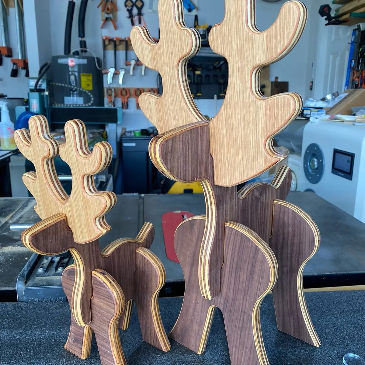 Tabletop DEER templates - TikTok Shop