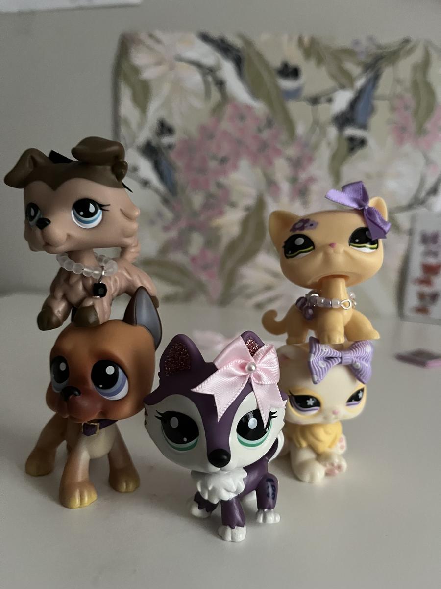 5 pc random miniature cat and dog figures and random 7 pc accessories ...
