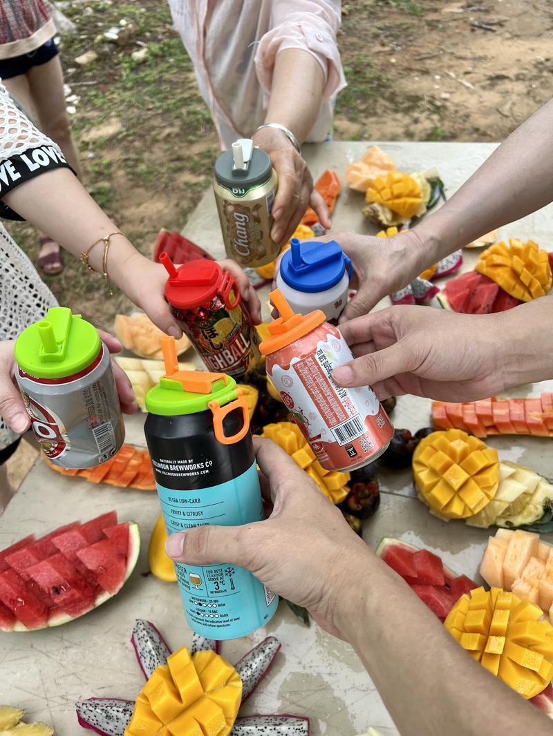 DIPESI 4-Pack BPA-Free Soda Can Lids with Straw - Reusable Lids for ...