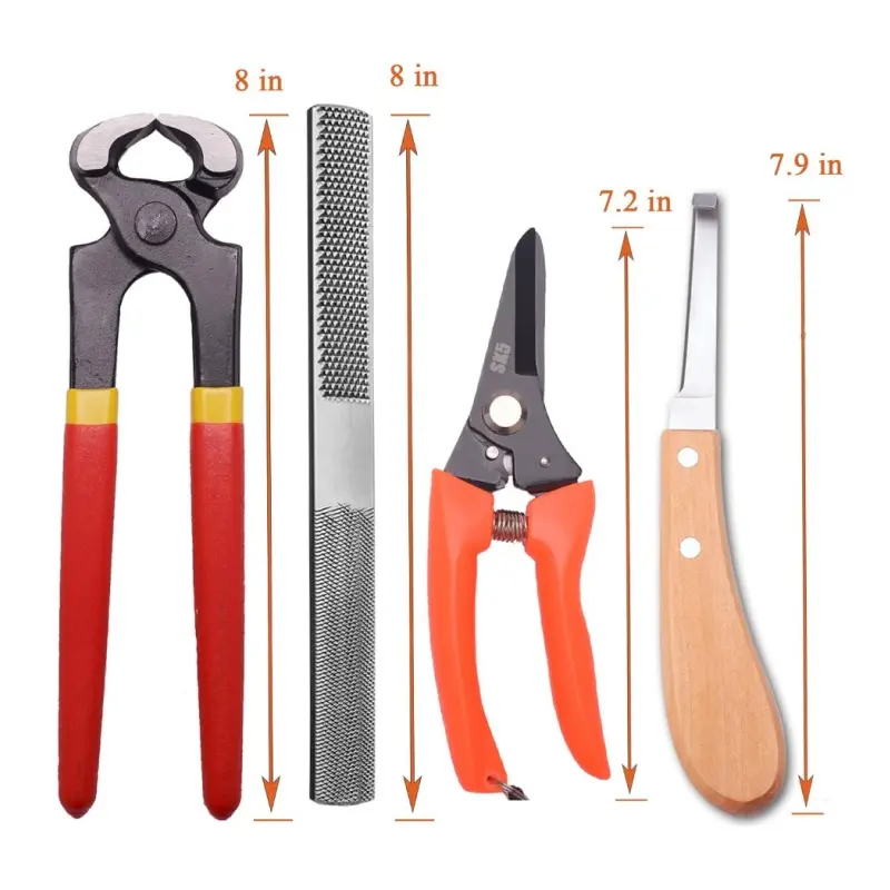 7 pcs 8inch Farrier Tools Kit, Comes with a storage tool kit for metal ...