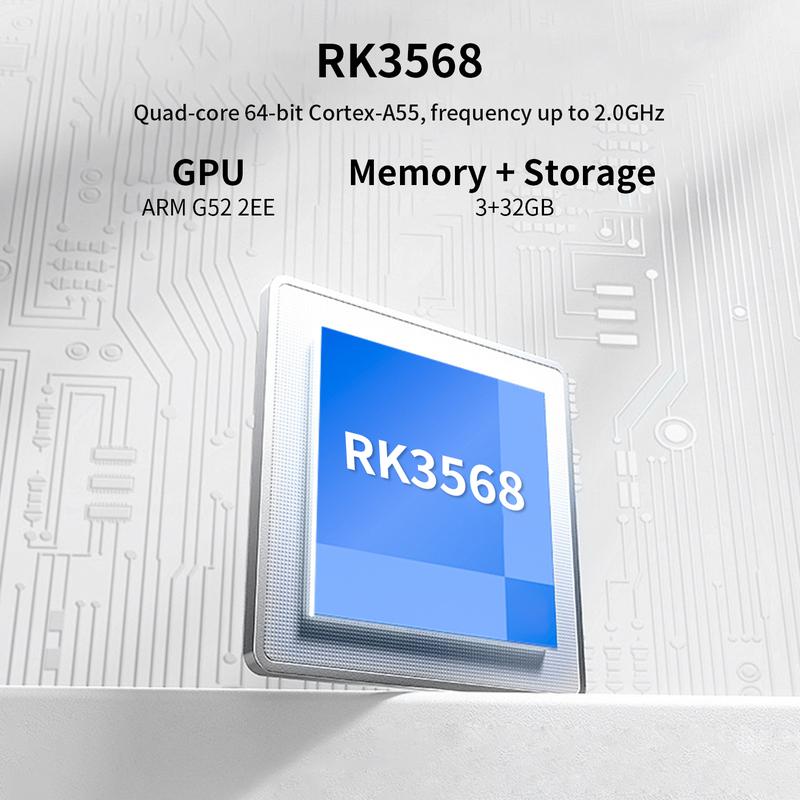 ANBERNIC RG DS Handheld Game Consoles RGDS Retro Gaming Console Dual ...