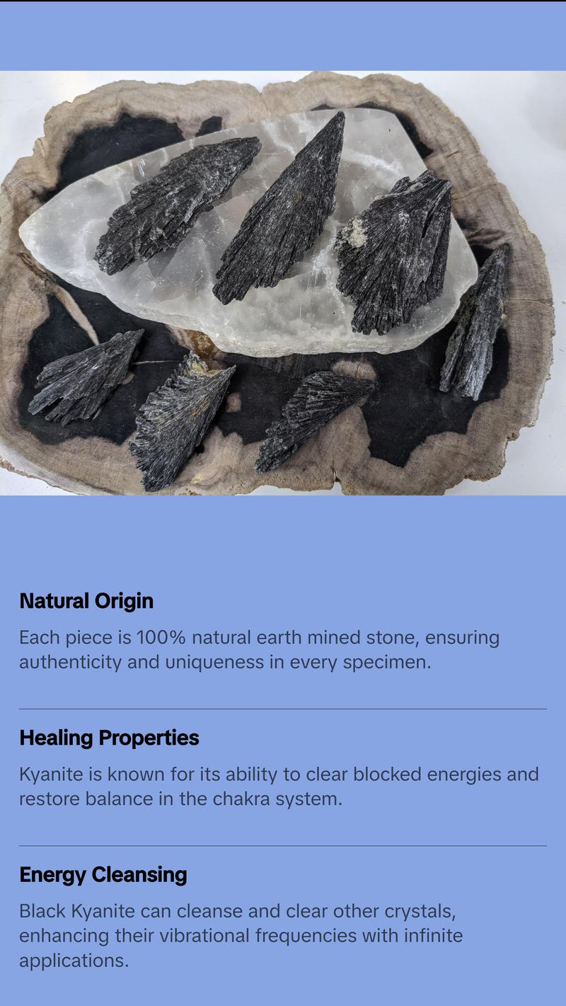 Large Black Kyanite Fans Blades Natural Rough Slabs Healing Crystal ...