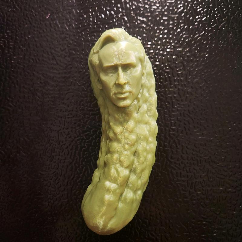 Picolas Cage Fridge Magnet, 3D Nicolas Cage Funny... - TikTok Shop