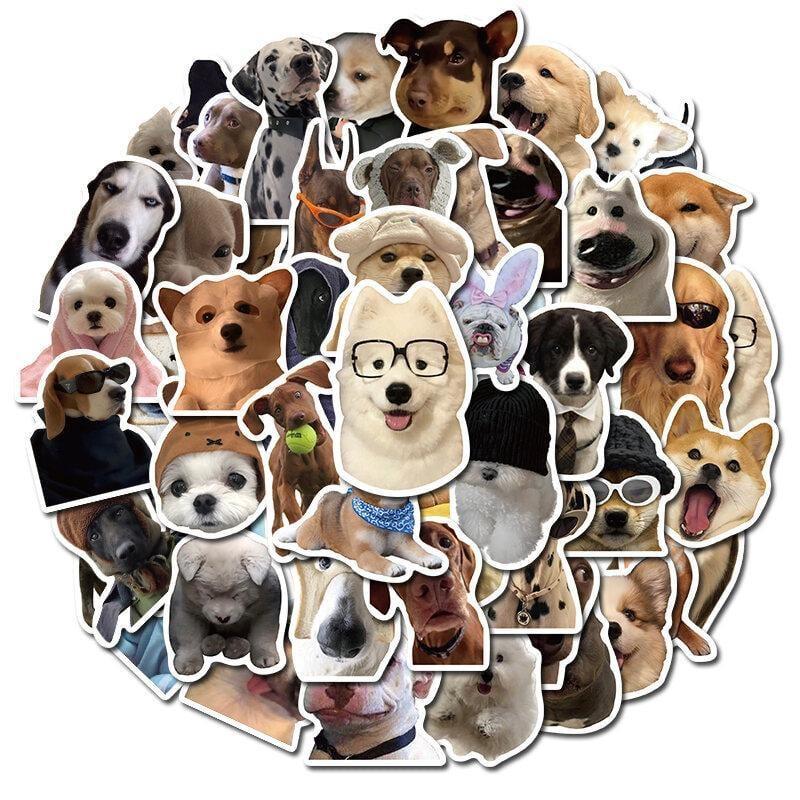 Cute And Funny Meme Stickers for Customers Who Place Orders at the Shop ...